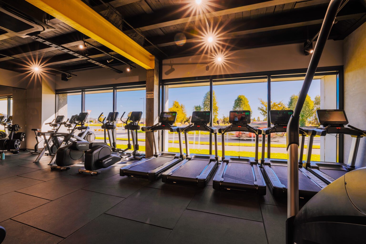 Premium Gym Rubber Tiles | Arena Commercial